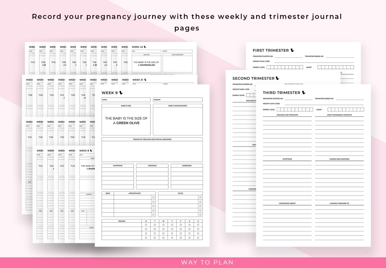 Pregnancy planner to track your health, appointments, and milestones ...
